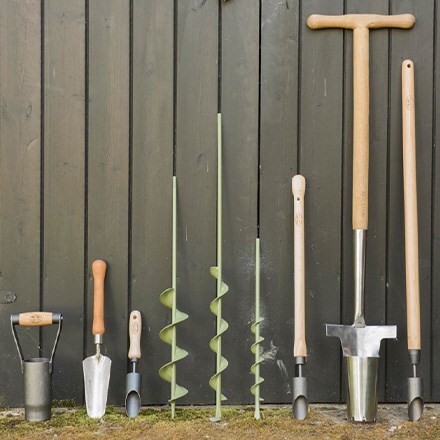 Buy plants online - Online Garden Centre for a wide variety of plants ...