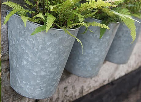 Shop Garden Pots at Crocus