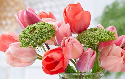 The Home of Online Gardening - Waitrose Garden