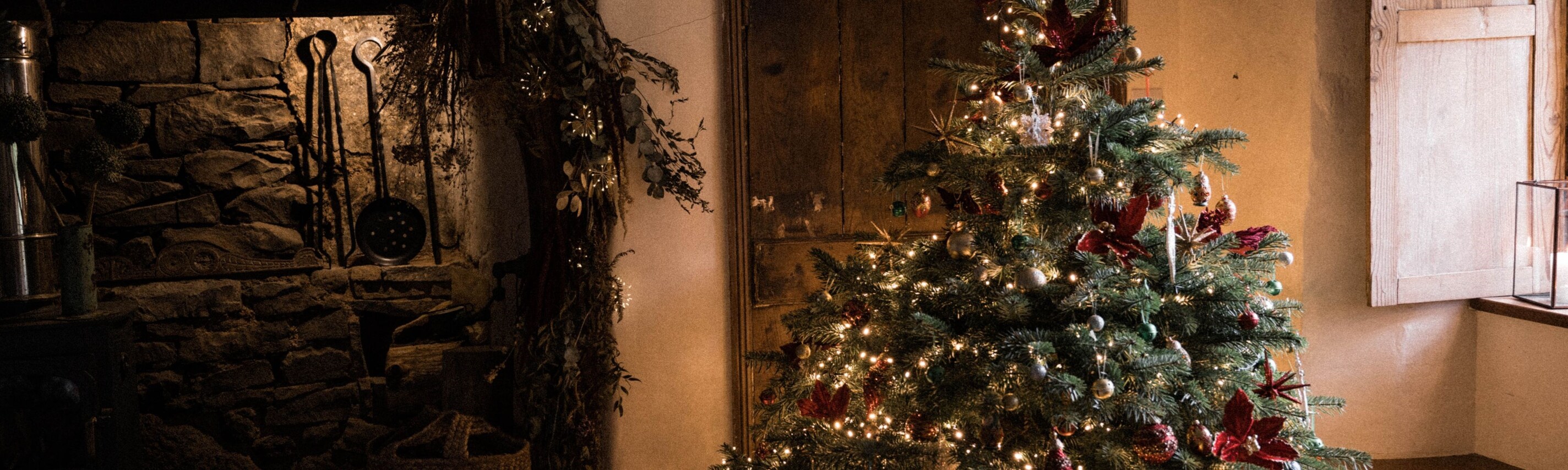 Christmas with Crocus