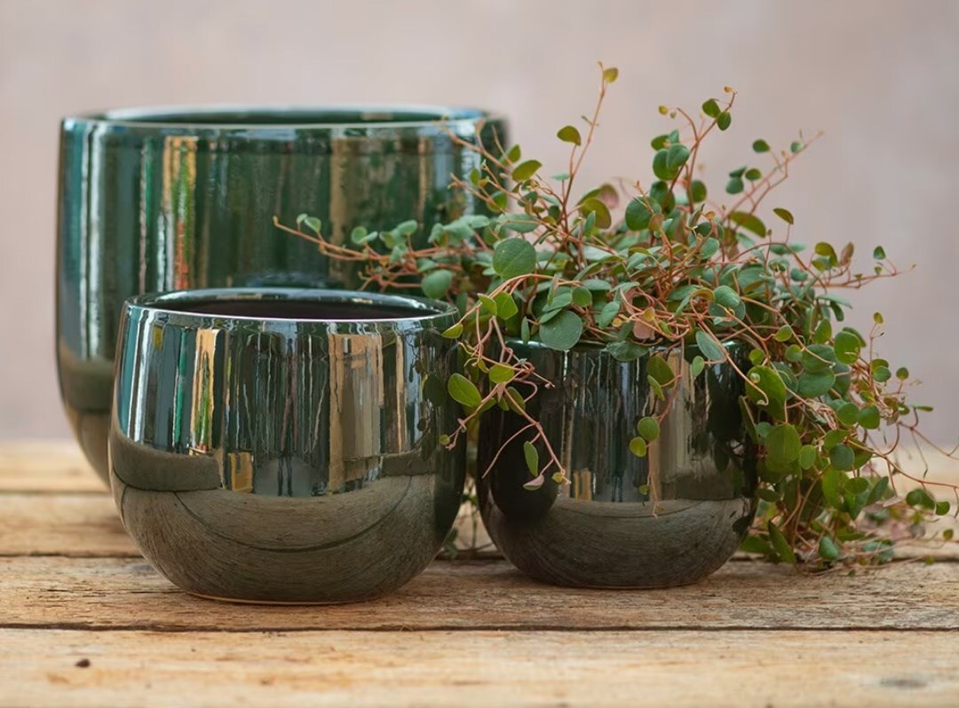 Buy Pots & Containers | Crocus | Making Beautiful Possible