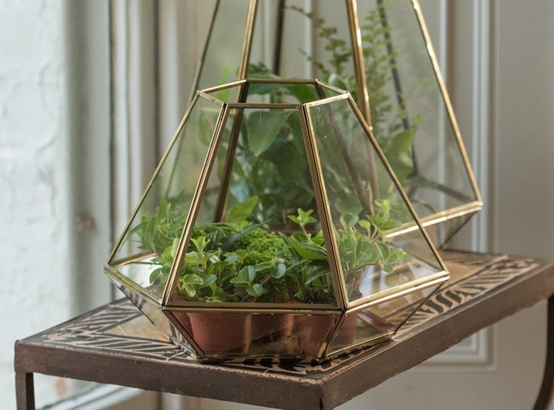 Shop Garden Pots at Crocus