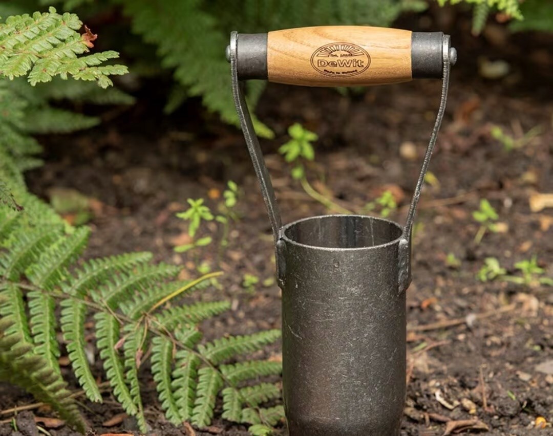 Buy bulbs for your garden