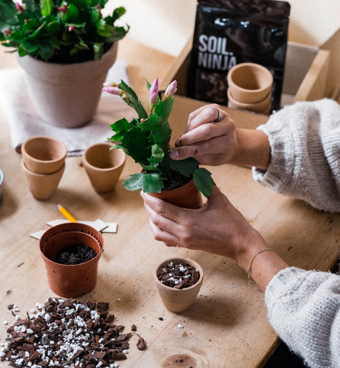 Christmas Gifting for Gardeners | Curated Collection by Crocus