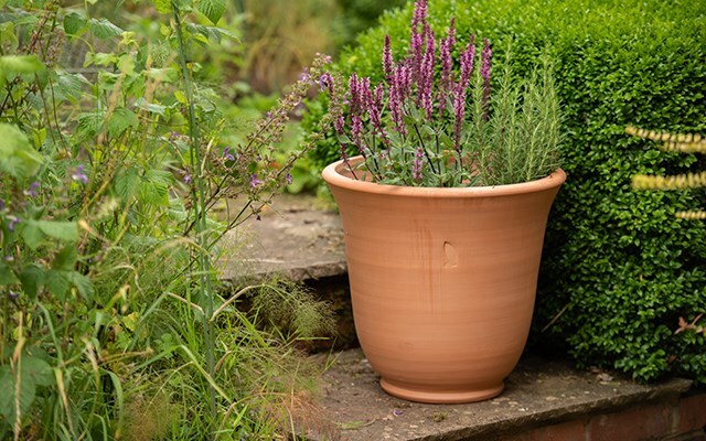 Special offers - Waitrose Garden