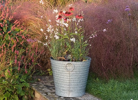 Buy garden pots and containers | RHS Plants