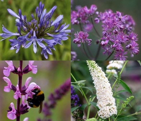 Lessons in garding week one understand your soil