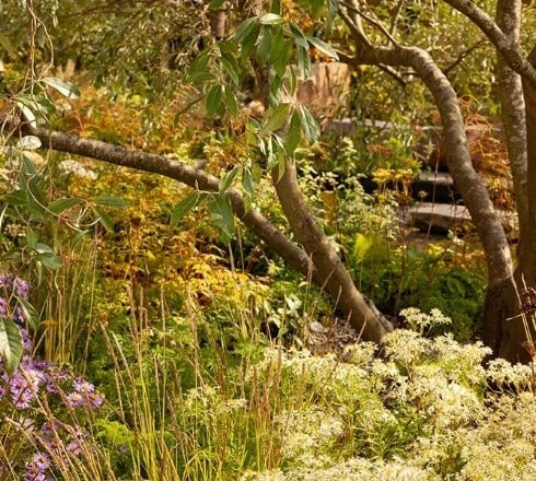 Lessons in gardening week four step two