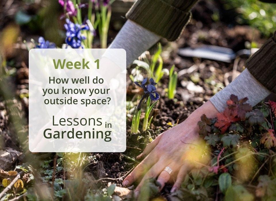 Lessons in gardening week one landing