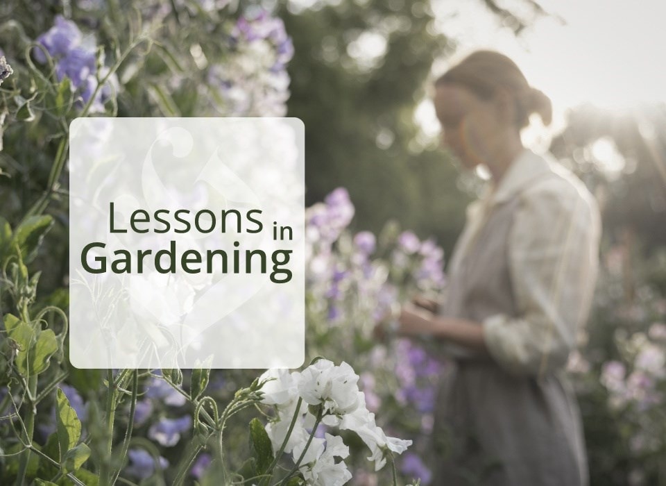 Lessons in garding week one understand your soil