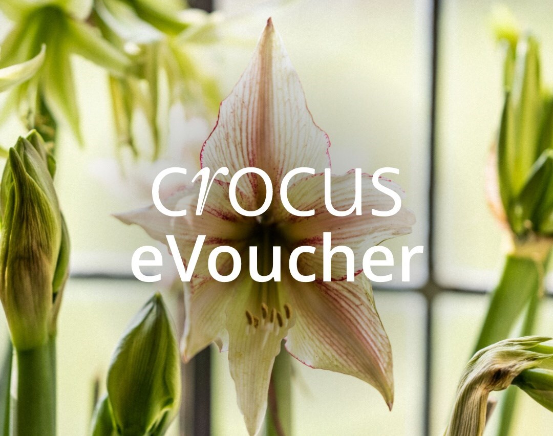 Gifts for the garden