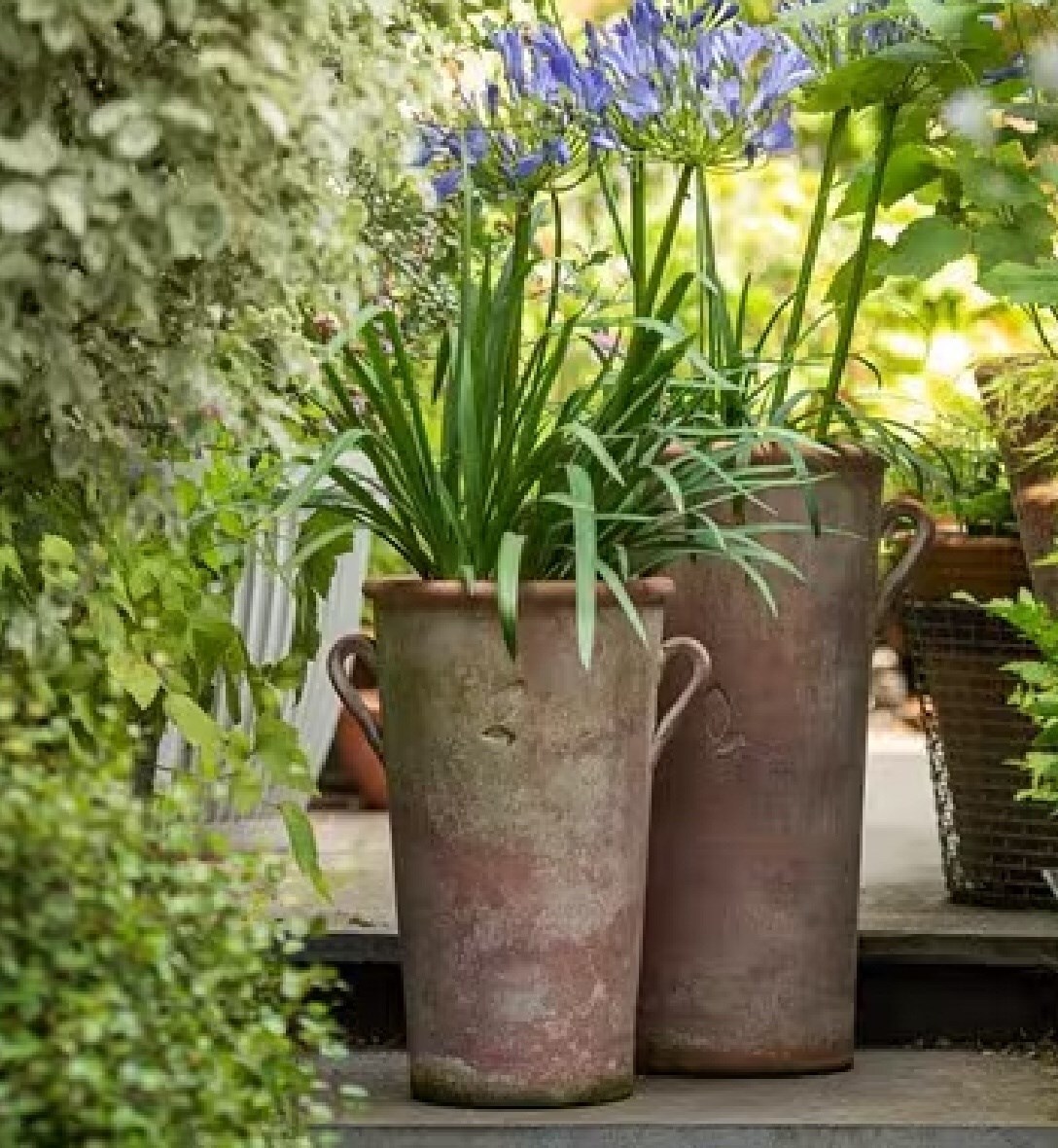 Shop Outdoor Living at Crocus