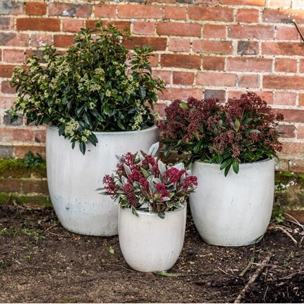 Shop Garden Pots at Crocus