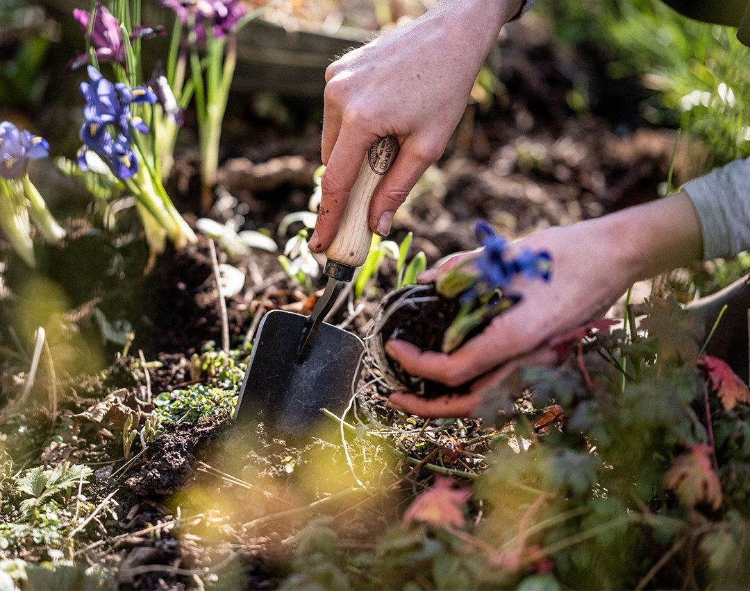 Inspiration for your garden