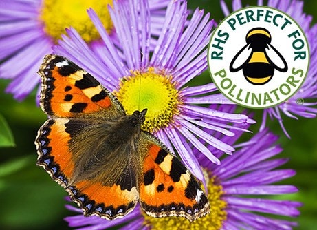 National gardening week 2018