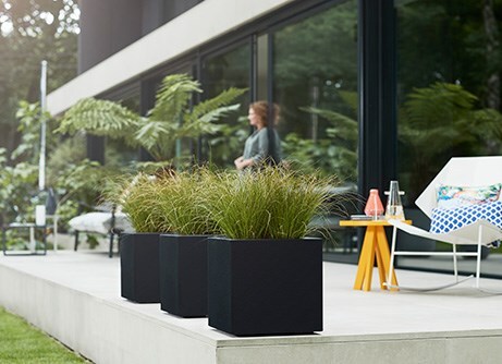 Buy garden pots and containers | RHS Plants