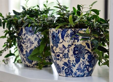 Buy garden pots and containers | RHS Plants