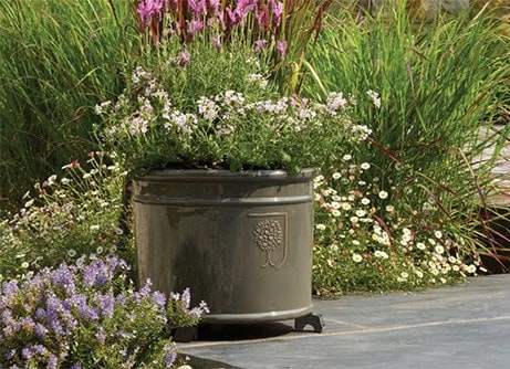 Buy garden pots and containers | RHS Plants
