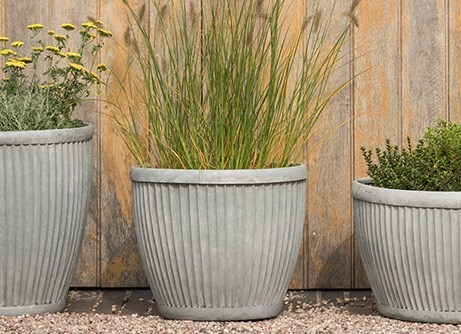Buy garden pots and containers | RHS Plants