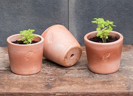 Buy garden pots and containers | RHS Plants