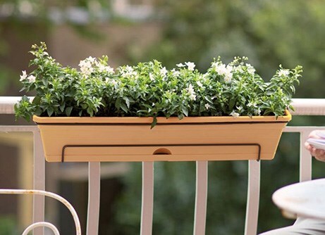 Buy garden pots and containers | RHS Plants