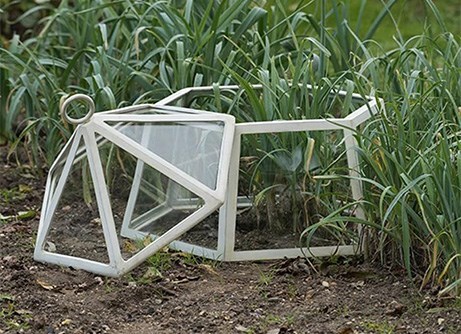 Buy garden tools, pots & many other garden products | RHS Plants