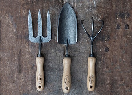 Buy garden tools, pots & many other garden products | RHS Plants