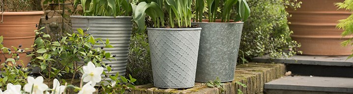 Plant pots & containers | Waitrose Garden