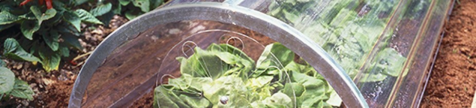 The Home of Online Gardening - Waitrose Garden