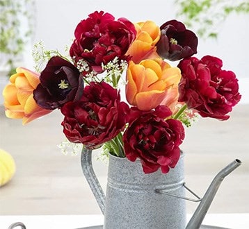 The Home of Online Gardening - Waitrose Garden