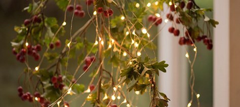 The Home of Online Gardening - Waitrose Garden