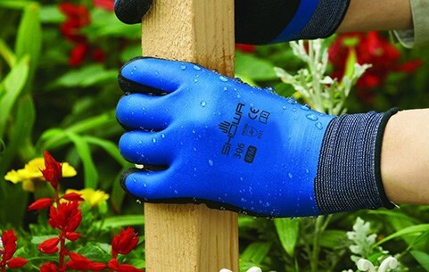 The Home of Online Gardening - Waitrose Garden