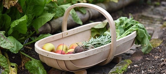 The Home of Online Gardening - Waitrose Garden