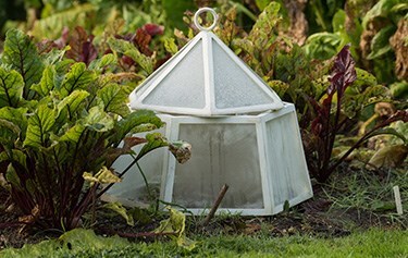 The Home of Online Gardening - Waitrose Garden