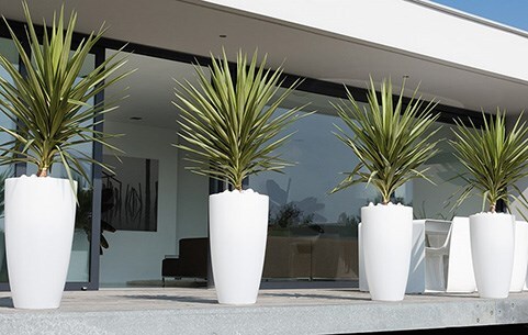 The Home of Online Gardening - Waitrose Garden