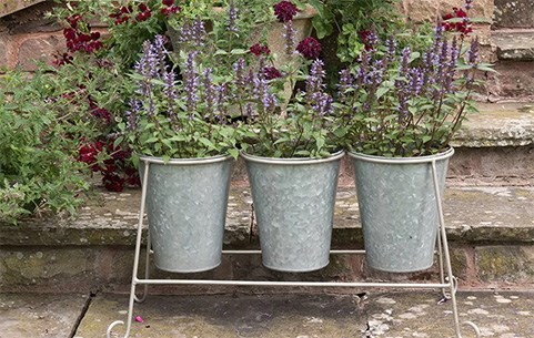 The Home of Online Gardening - Waitrose Garden