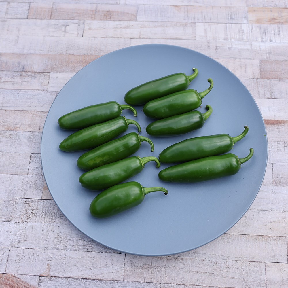 Buy chillies or Capsicum annuum var. annuum (Longum Group) Jalapeno ...