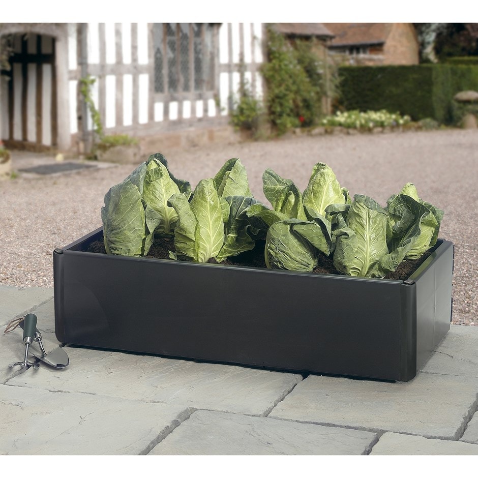 Buy Mini Raised Bed buy-mini-raised-bed