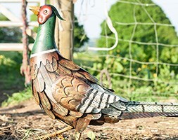 The Home of Online Gardening - Waitrose Garden