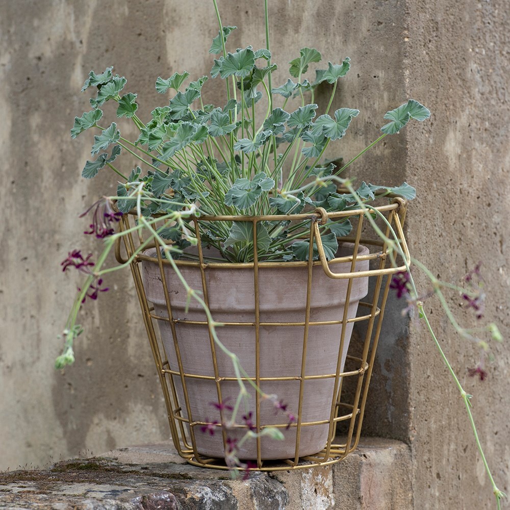 The Home of Online Gardening - Waitrose Garden
