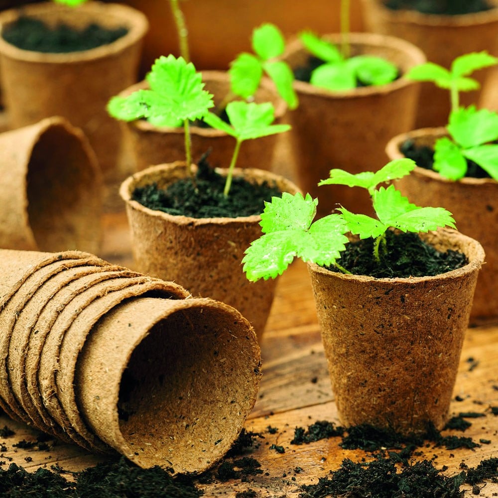 Fibre pots store