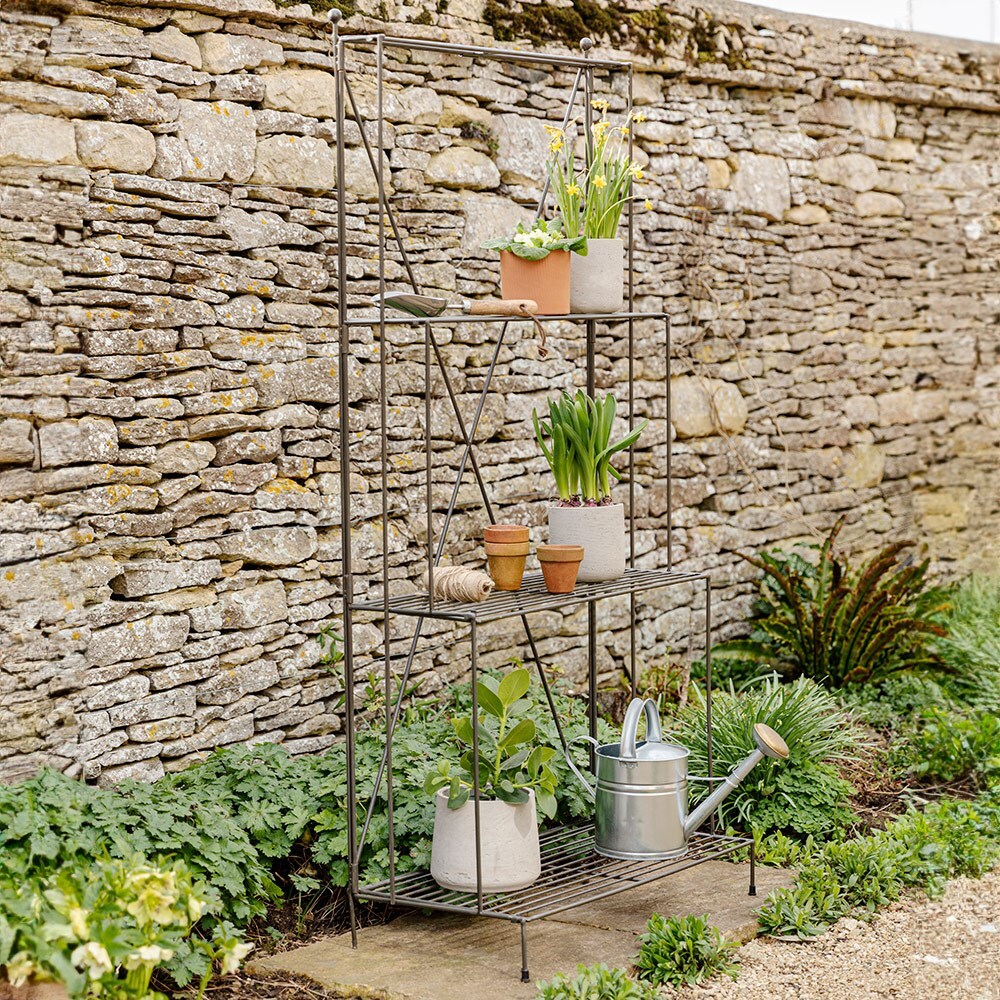 Buy Tall steel plant stand