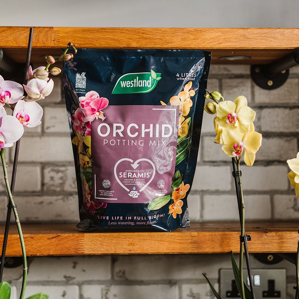 Orchid mix store