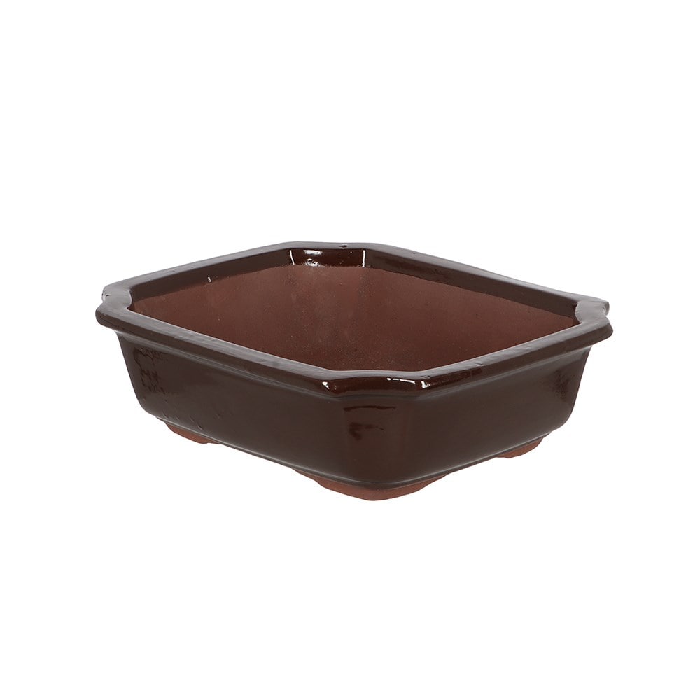 Buy Bonsai glazed plant saucer - rust brown