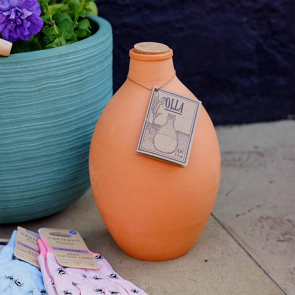 Buy Olla Pot Plant Watering System Small | Medium: Delivery by Primrose