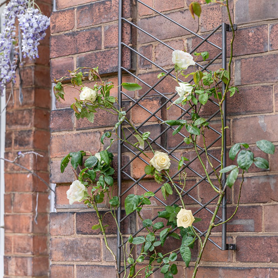Buy Zinc Effect Metal Linear Trellis: Delivery by Primrose