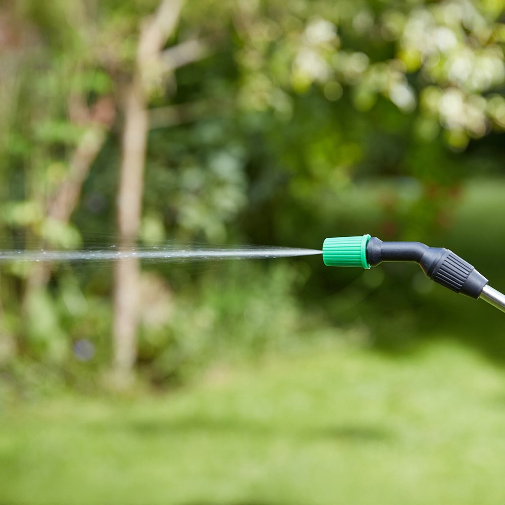 Buy SmartPro Pressure Sprayer - 8L: Delivery by Primrose