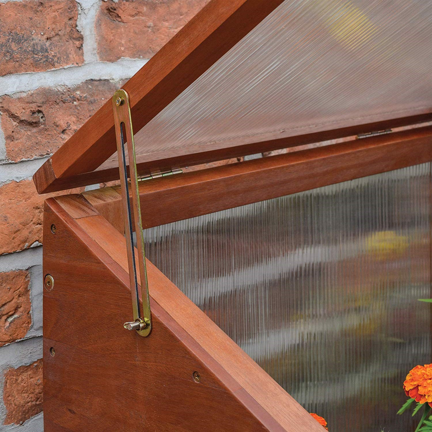 Buy H1.44m (4ft 9in) Hardwood Mini Greenhouse Cold Frame by Rowlinson ...