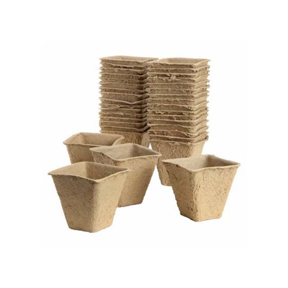 Buy Gro-Sure 6cm Square Fibre Pots 20-Pack: Delivery by Primrose