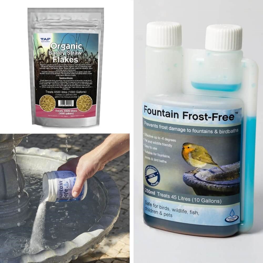Buy Winter Pond Preparation Pack: Delivery by Primrose